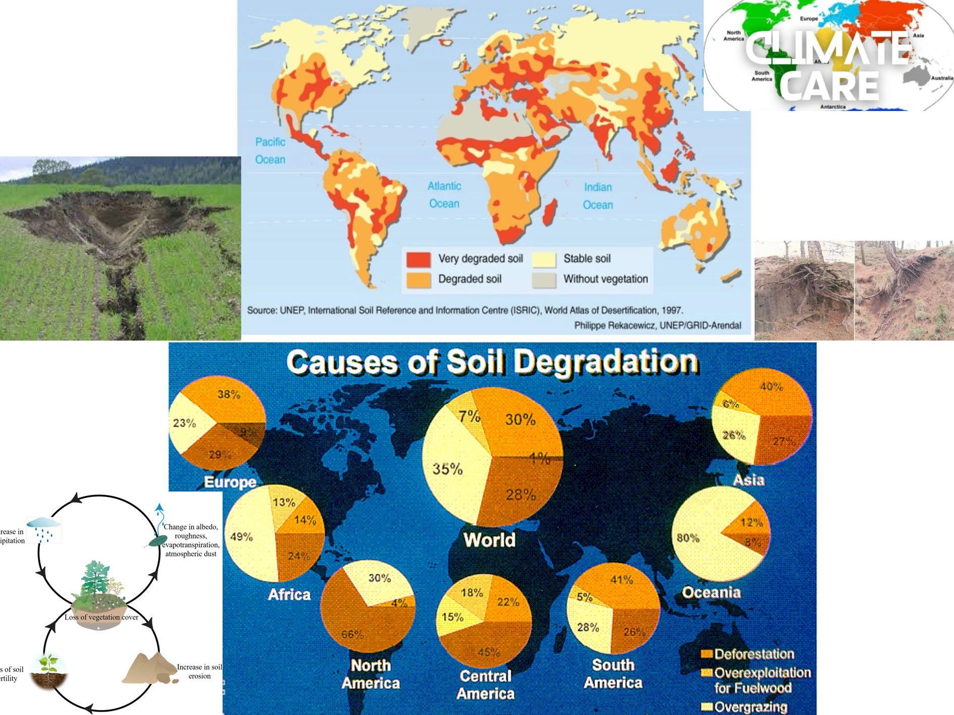 Soil degradation : A global climate issue in 2024