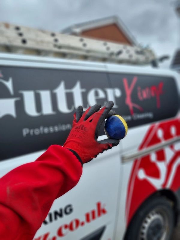 Top Gutter Cleaning Company in Your Area - Gutter Kingz