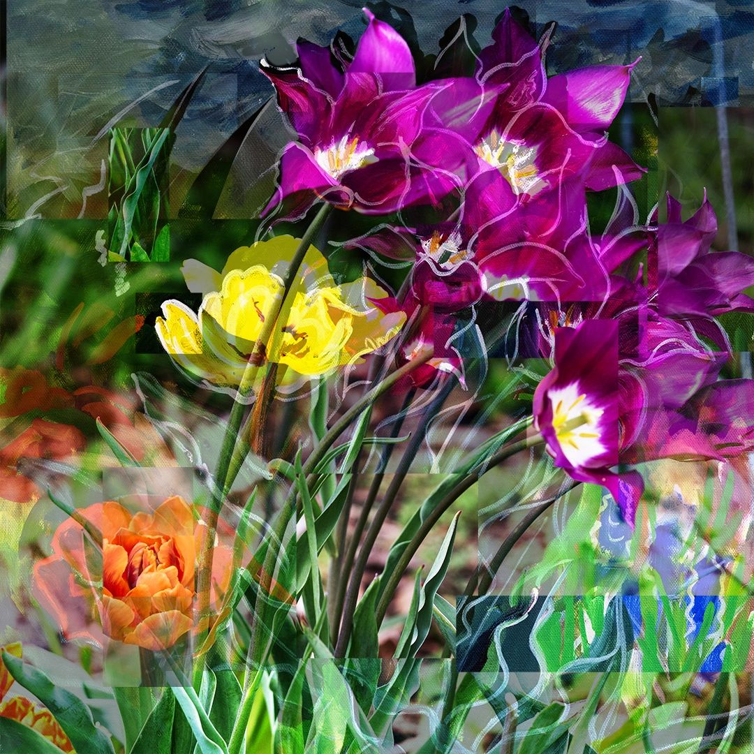 The Tulip Patch