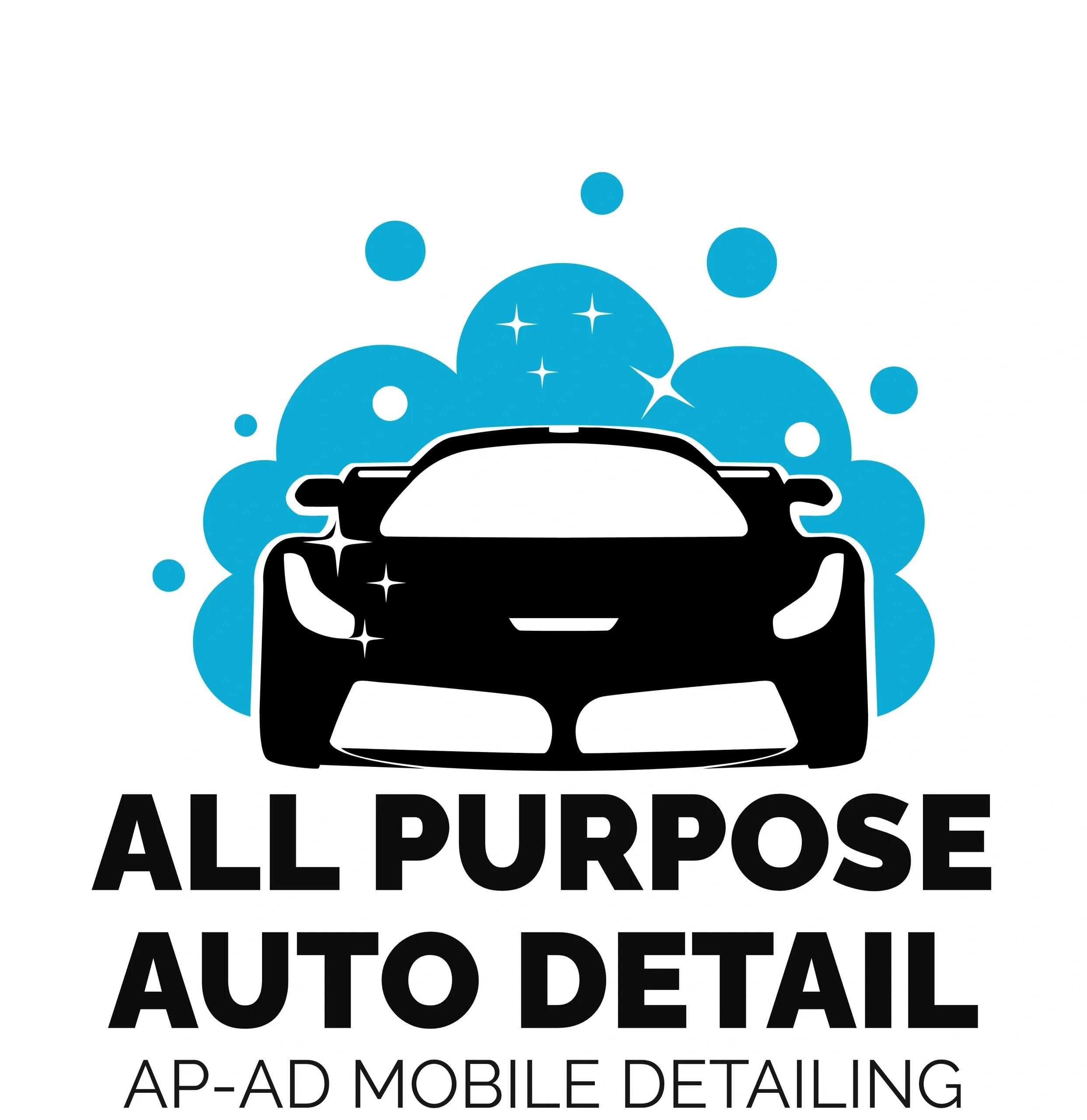 All Purpose Auto Detail
