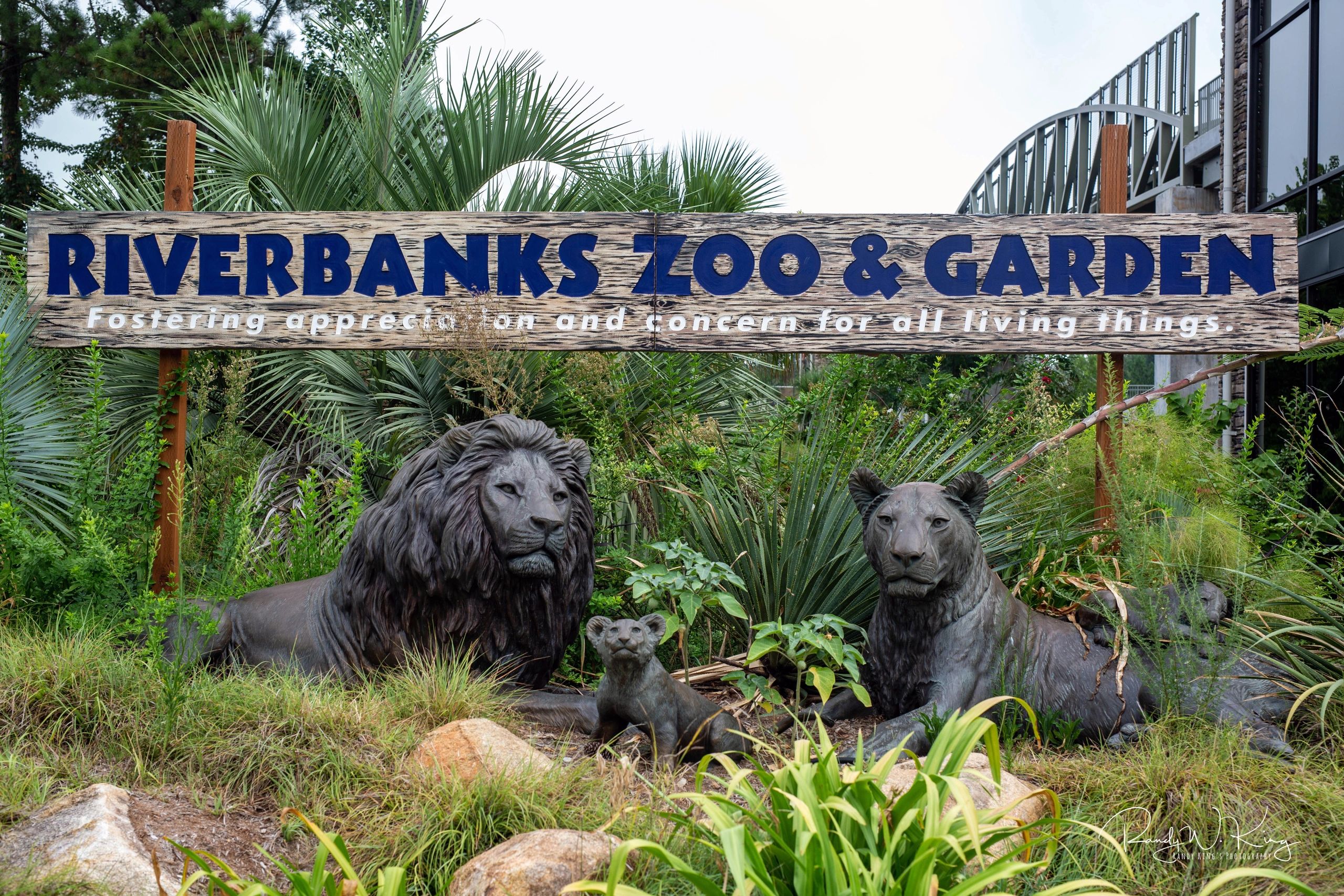 Portrait Day at the Zoo Shoot: