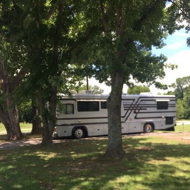 Evergreen RV Park - Rv Parks Near Me, Rv Campgrounds, Campground