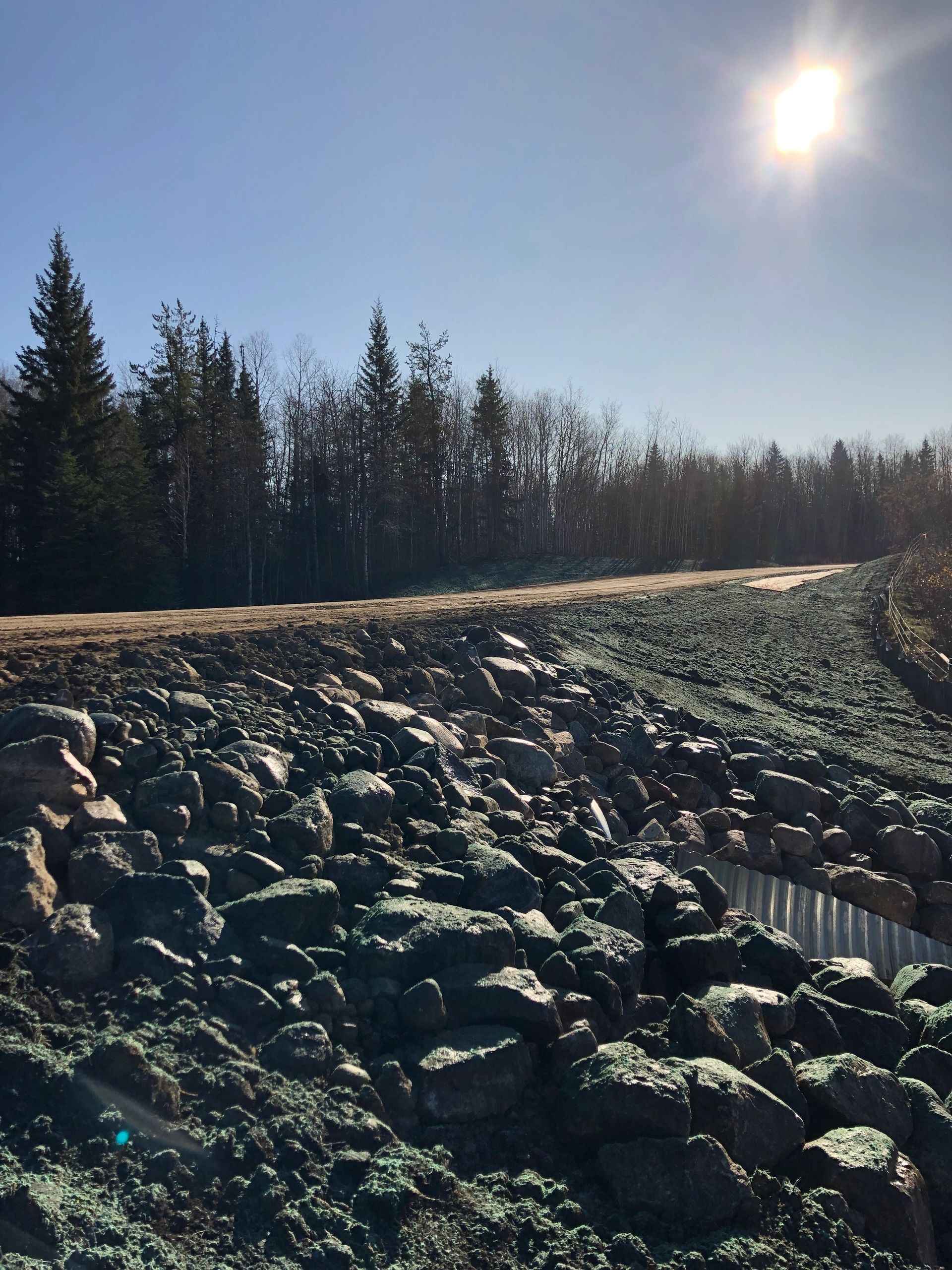 Broadcast Seeding | Home Grown Hydroseeding