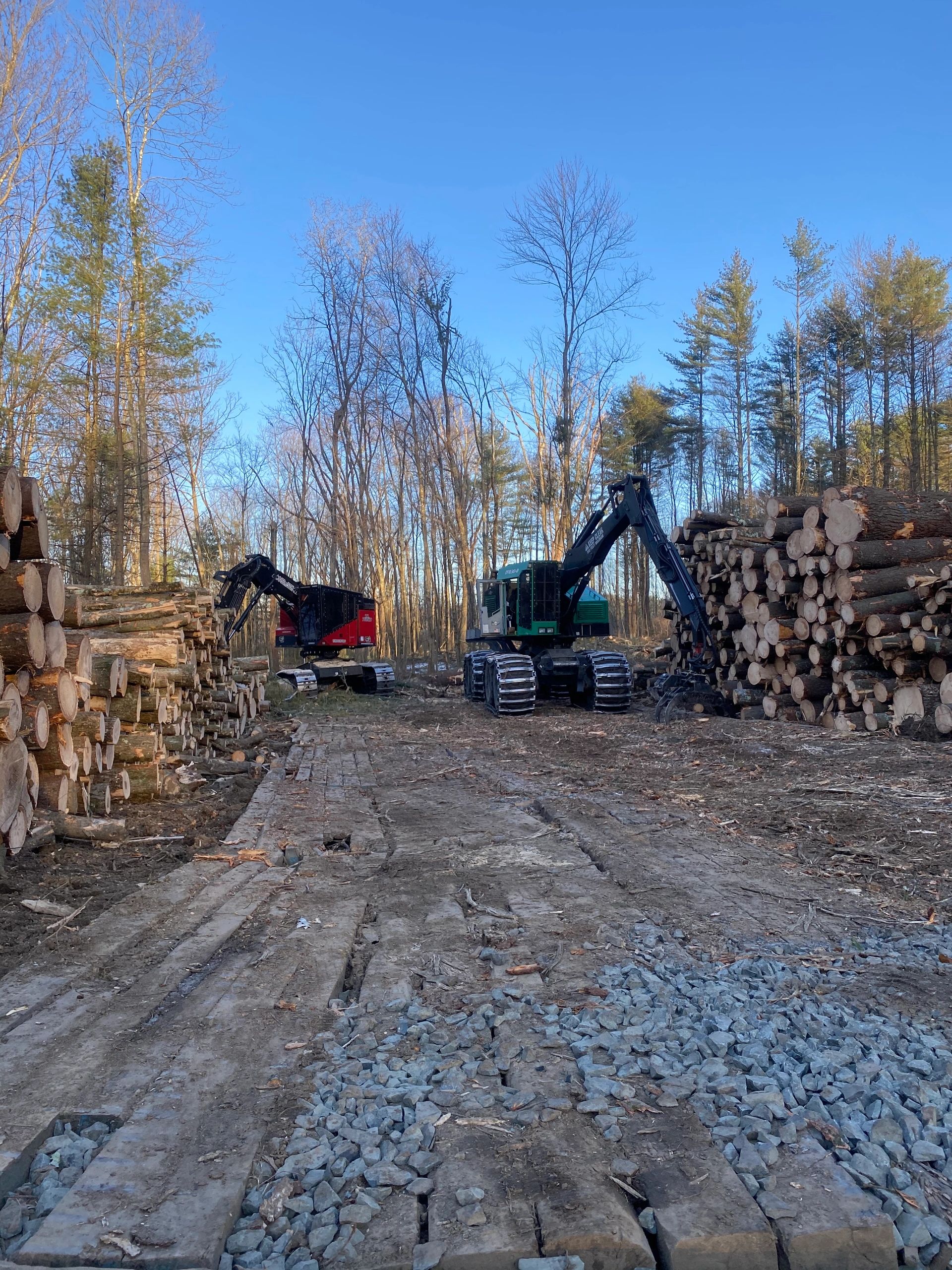 J.H. Conkey and Sons Logging - Forest Management, Logging
