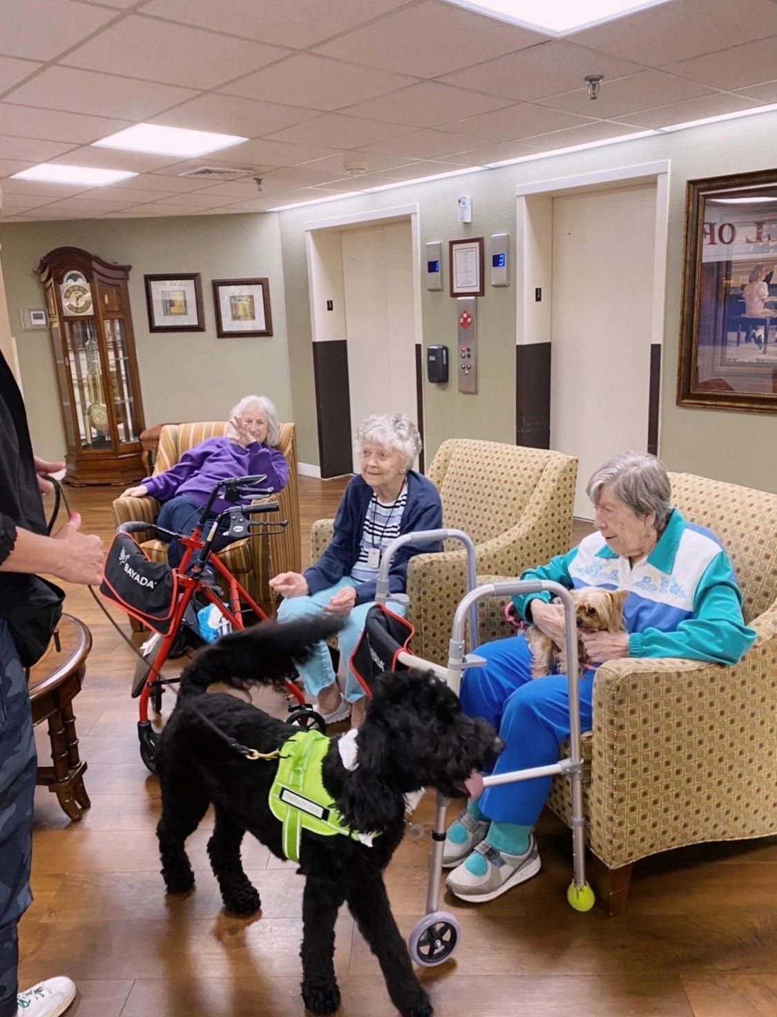 Volunteer with seniors