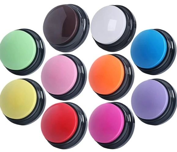 Voice Recording Button, 30 Second Record Buttons set of 10