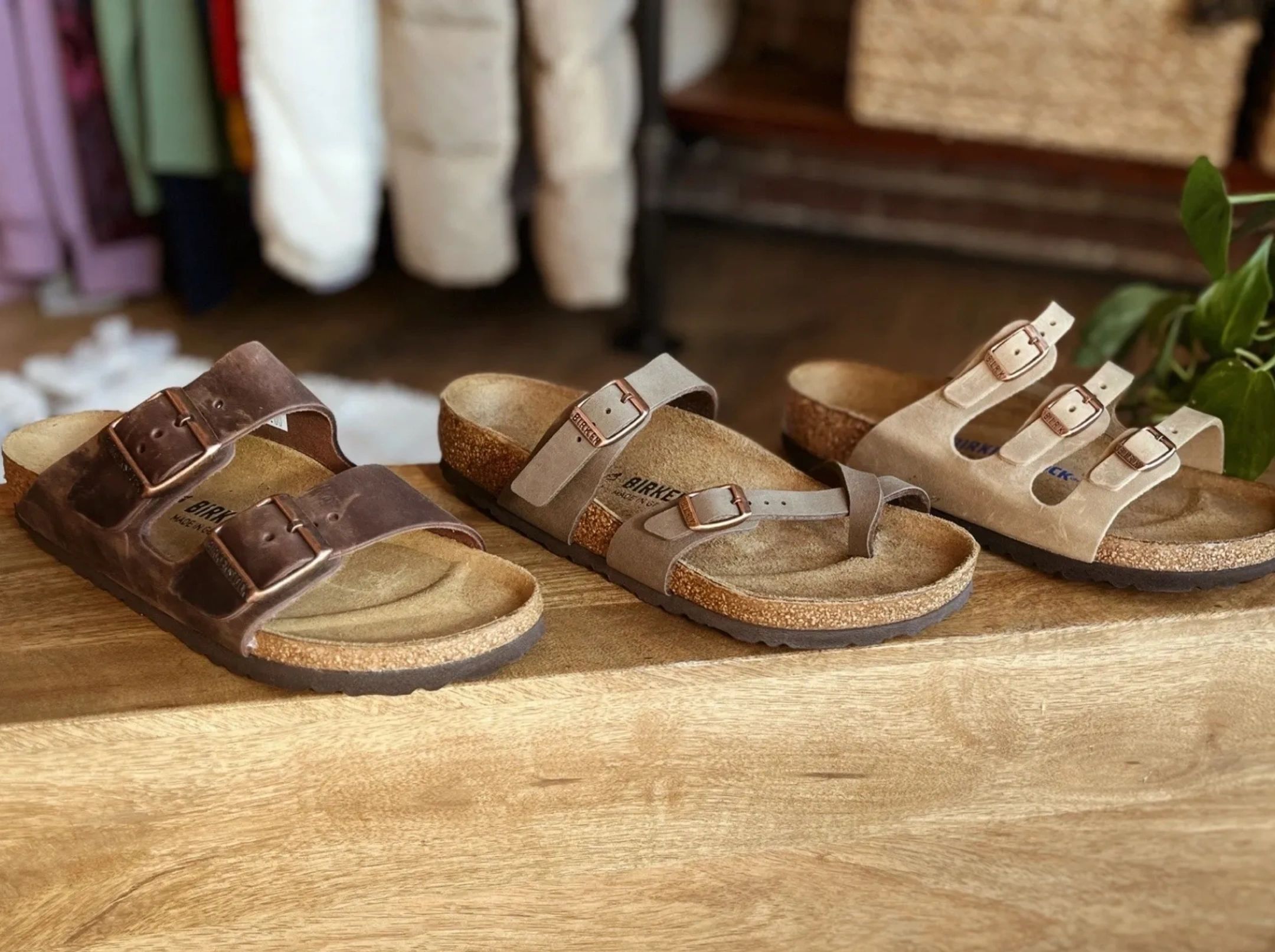 Home [shopluckycharlie.com]