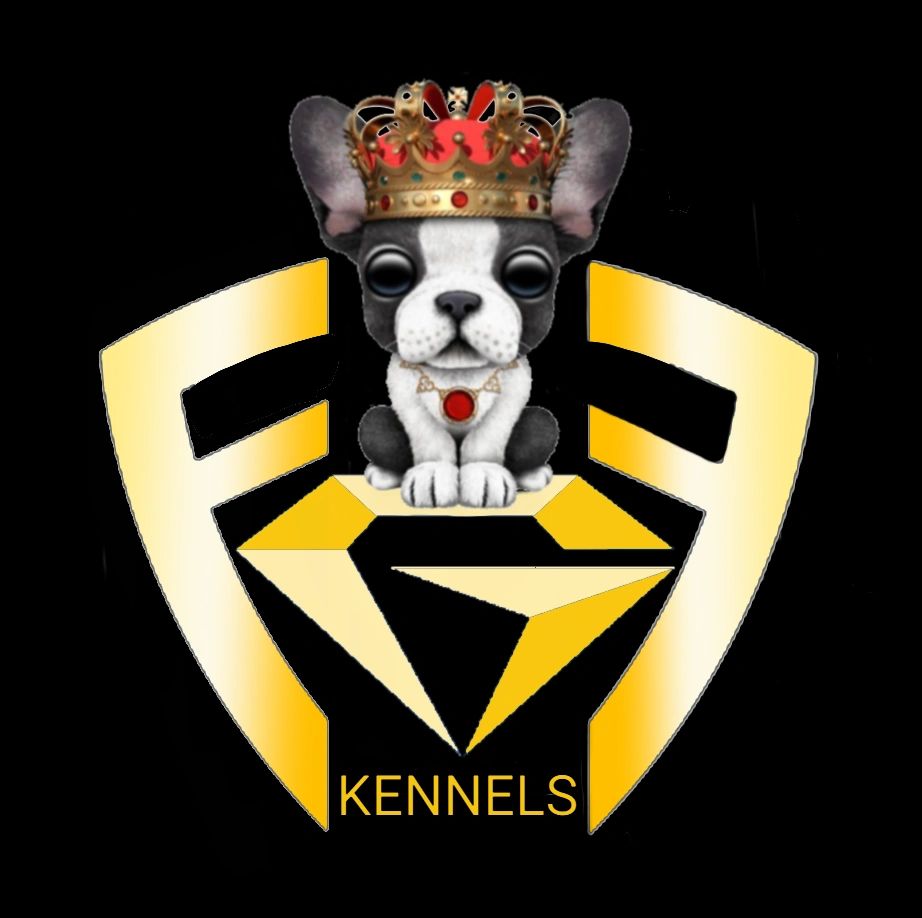 Fluffy Gem Frenchies