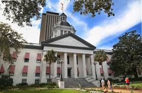 What is the Florida House of Representatives?