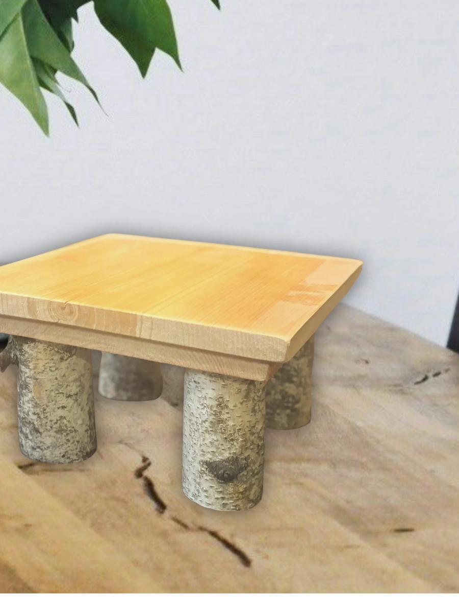 Unique Rustic Pine and Burch Step Stool