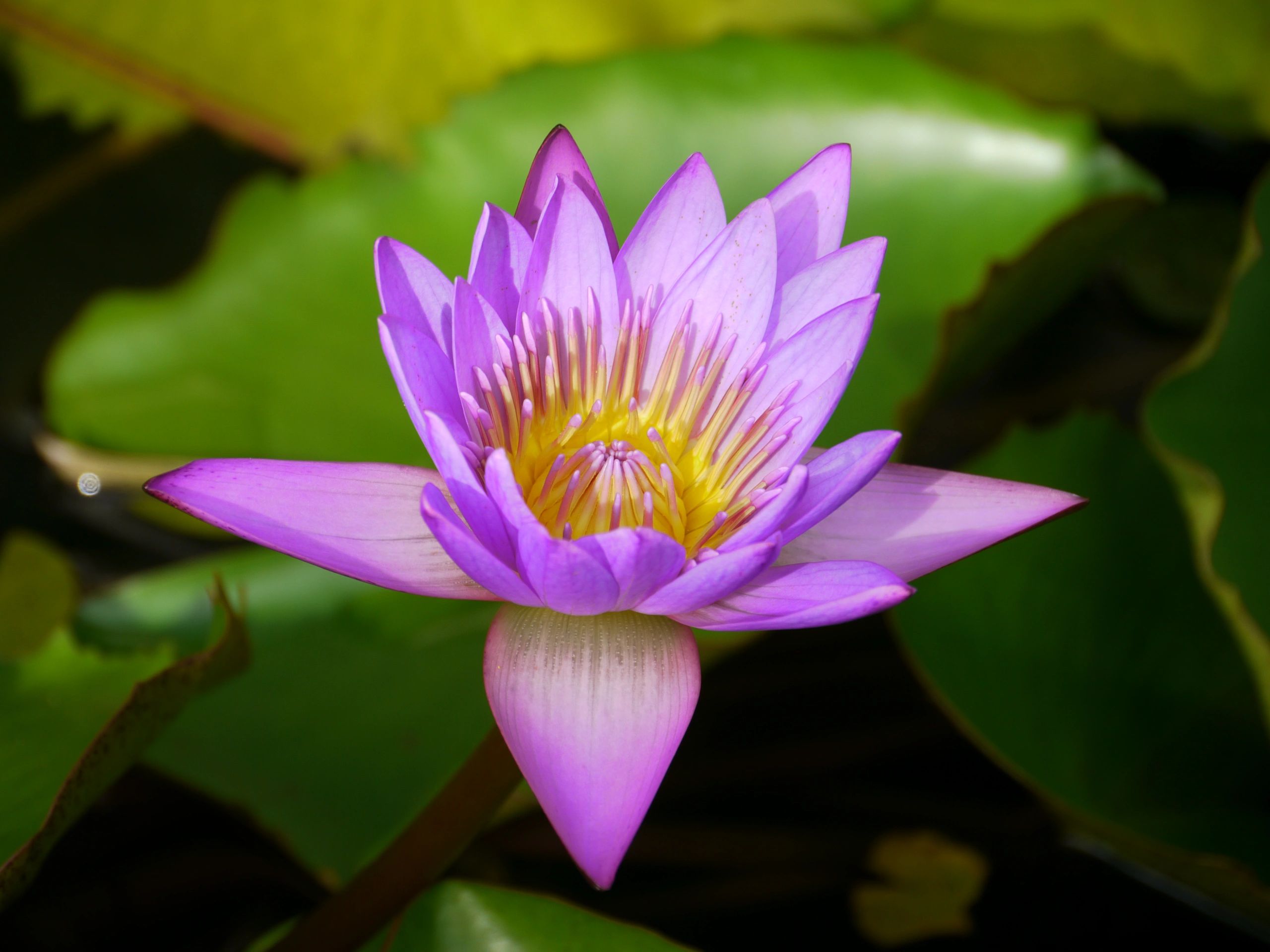 About Jeffrey | Jeffrey Yates, LCSW, TEP