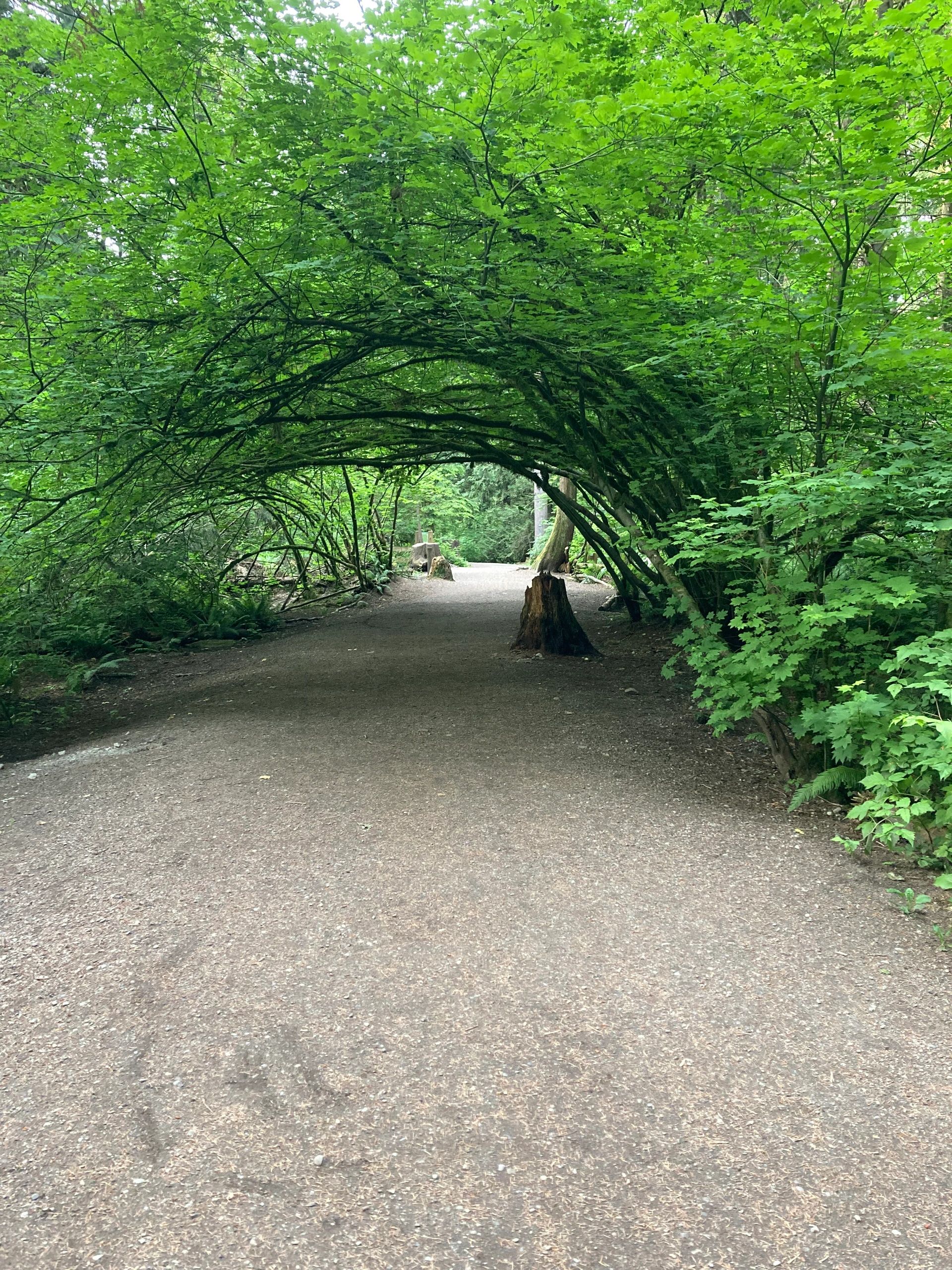 Explore Scenic Nature Walks Near You