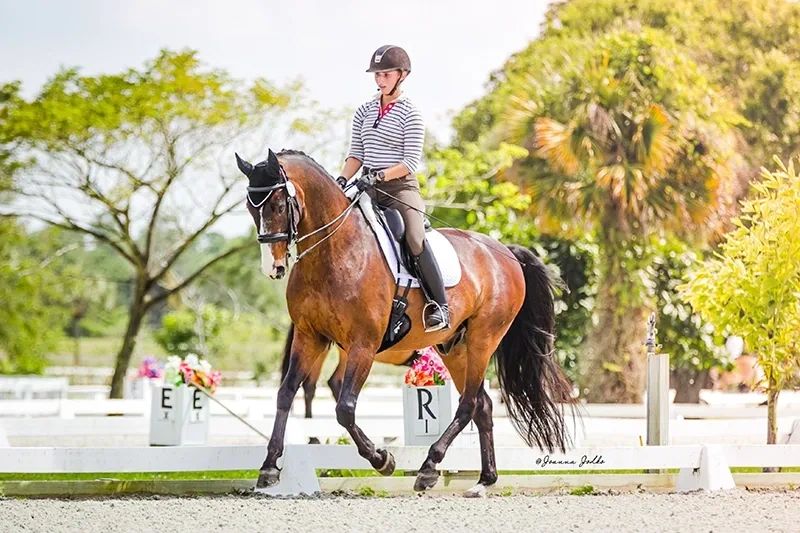 Emma Smith Dressage