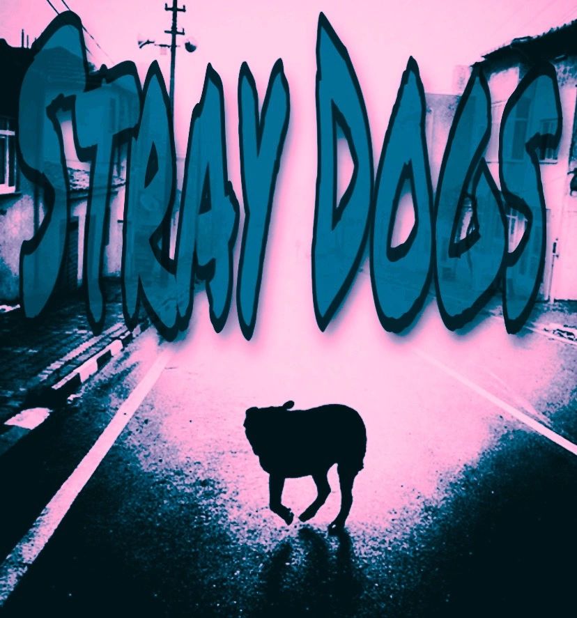 Stray Dogs