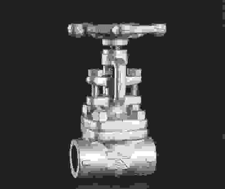 SHORITSU Valve in FERROUSASIA