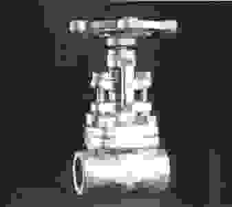 SHORITSU Valve in FERROUSASIA