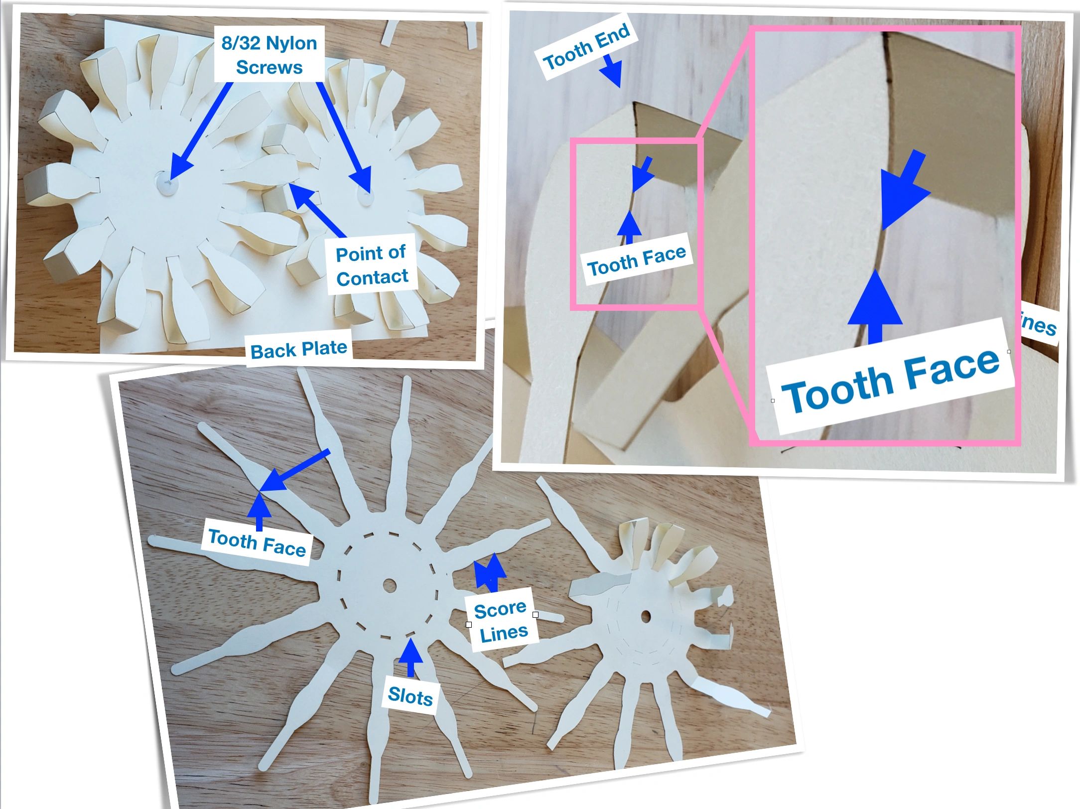 Paper Gears 2D to 3D (Involute)
