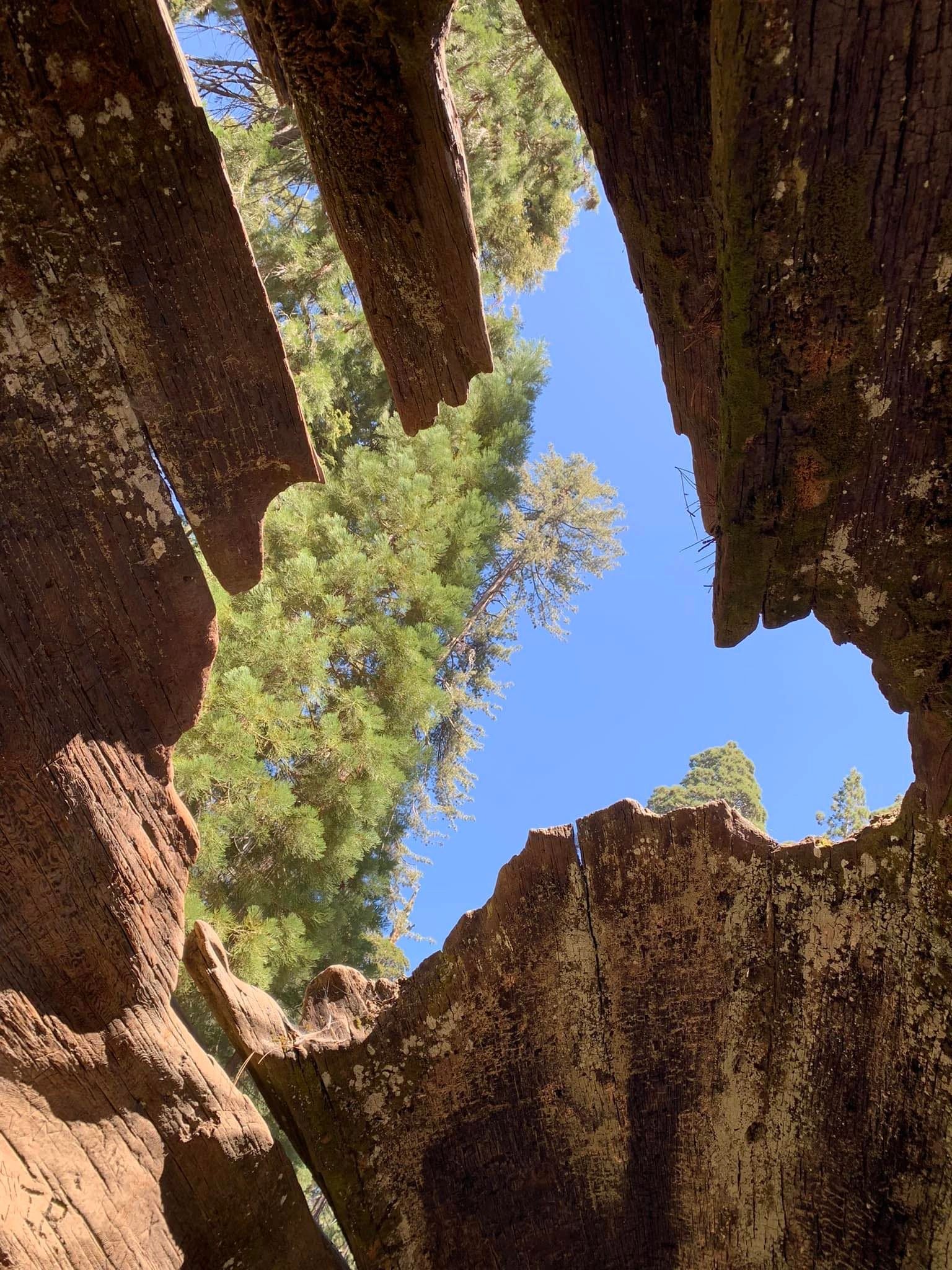 My Approach | www.bethesequoia.com