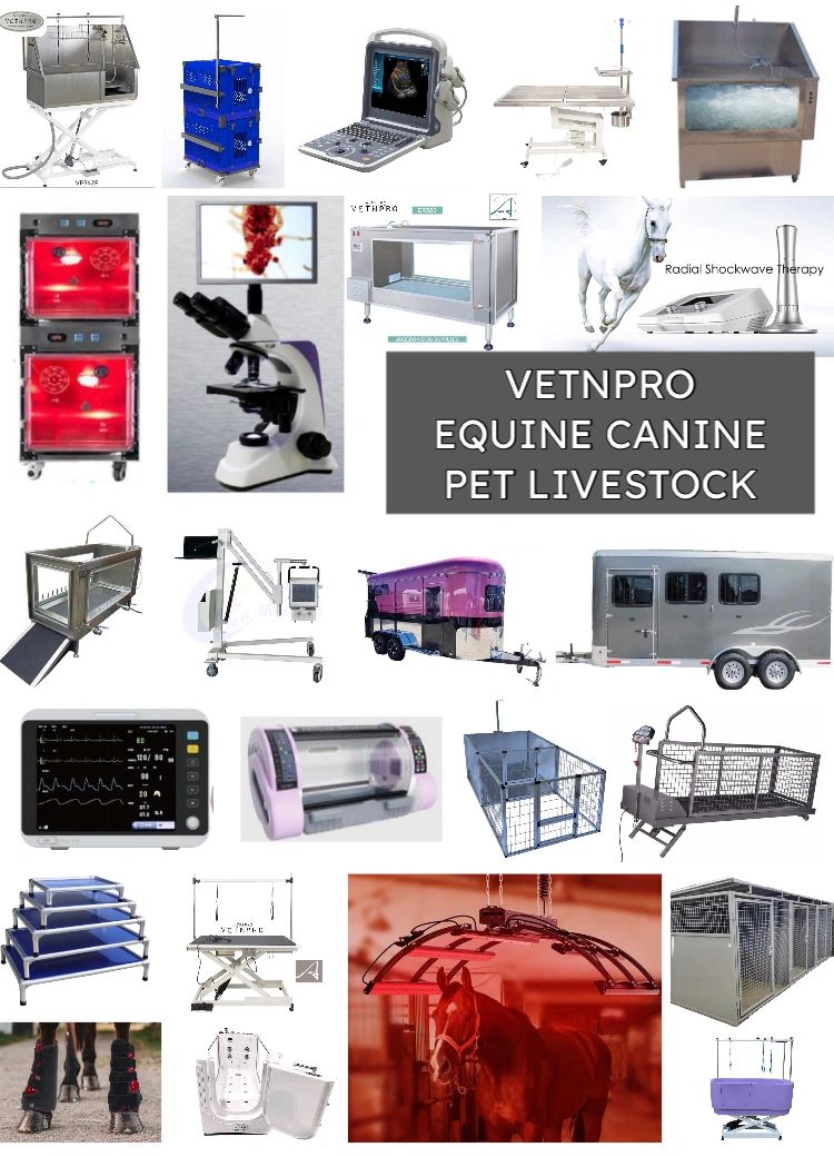 VETERINARY Equipment | Supplies