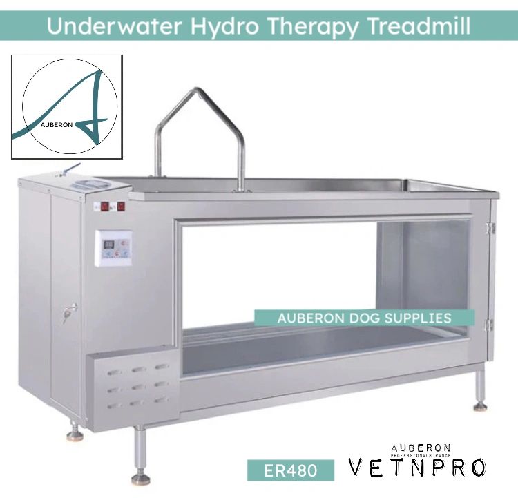 Canine Hydrotherapy Underwater Treadmill VETNPRO 3HP•ER480 and 2HP ...