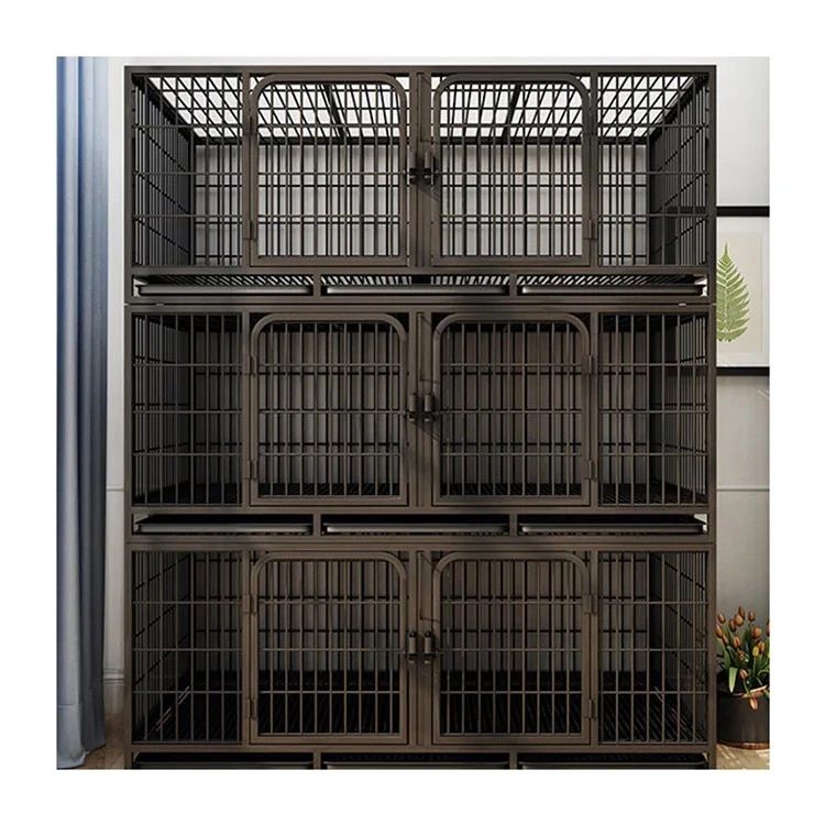 SALE SAVE $ Ready to ship-1 available BLACK 160cm Quality Breeder ...