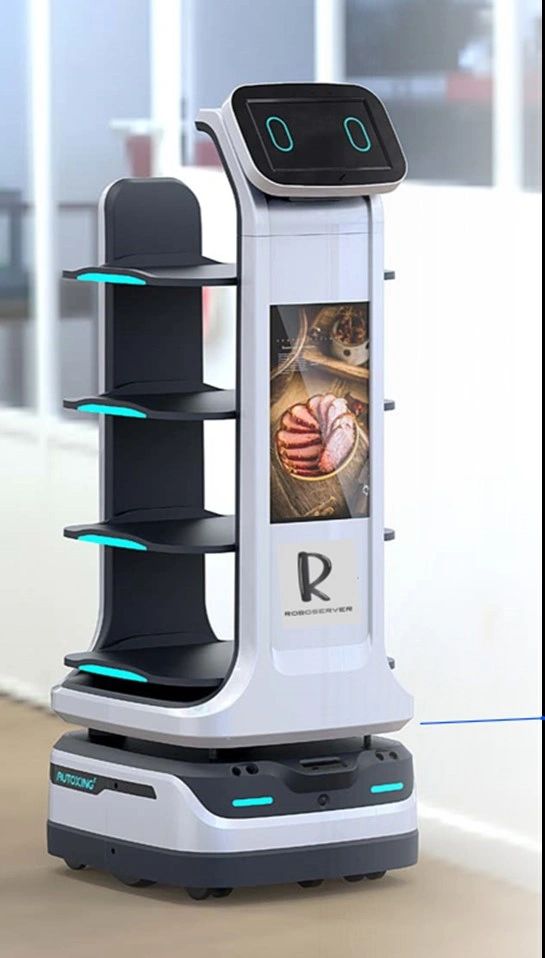 Robots - RoboServer Corporation