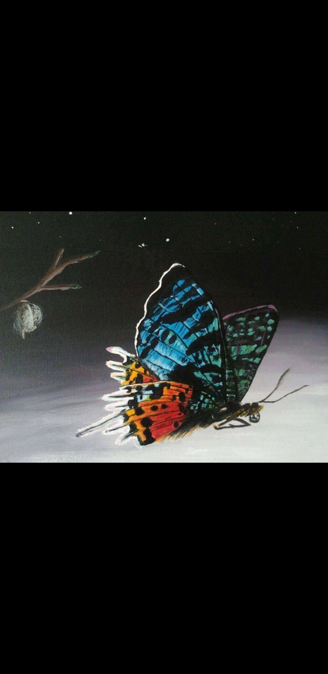 Parenting - Impact Parent Coaching