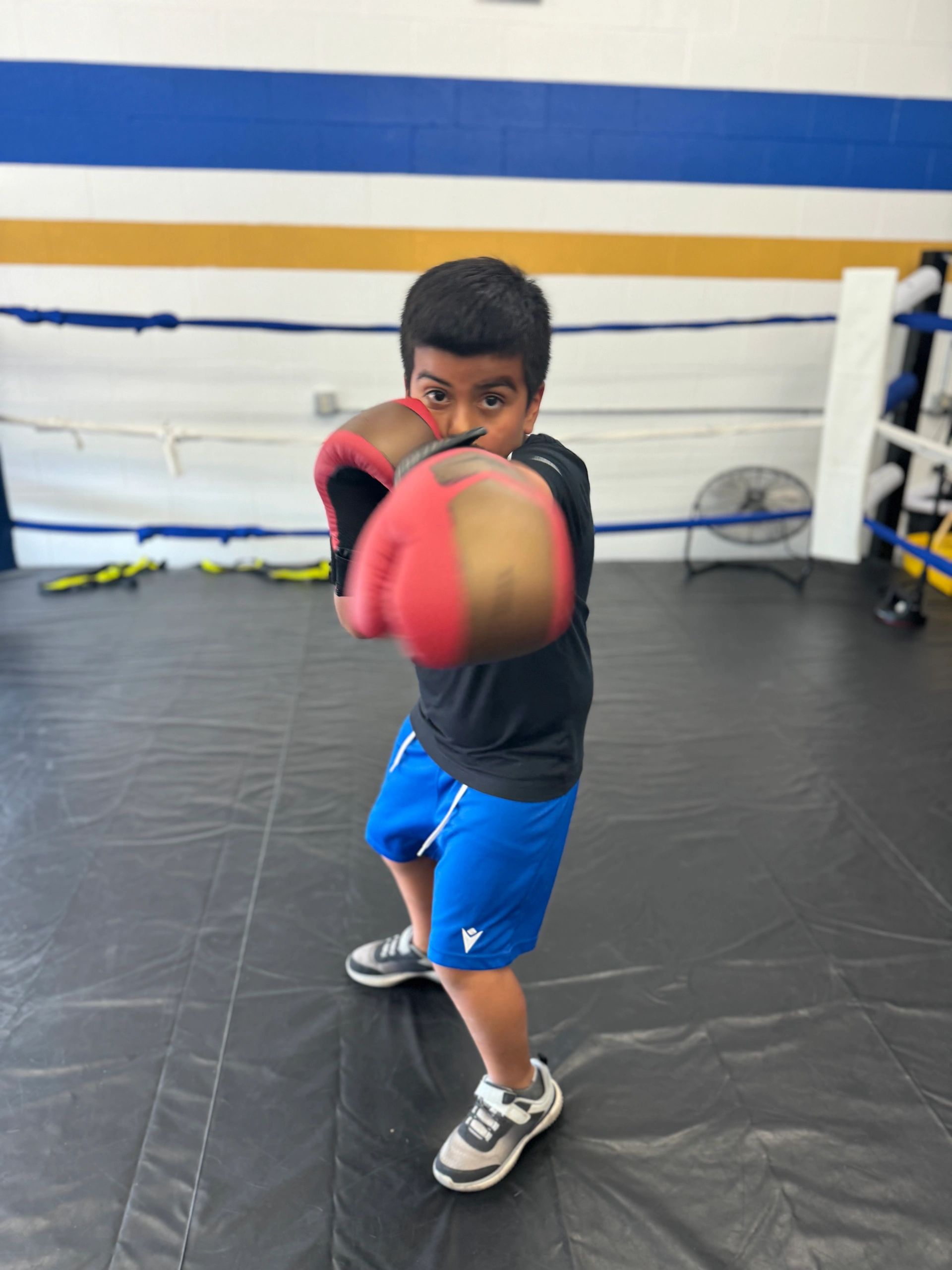 Boxing Gym: Learn Boxing Skills at Boxing 2 Inspire