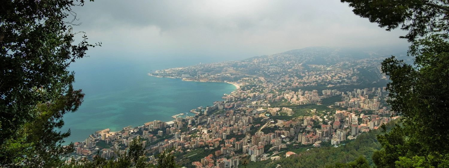 The Global Lebanese Support Network - online