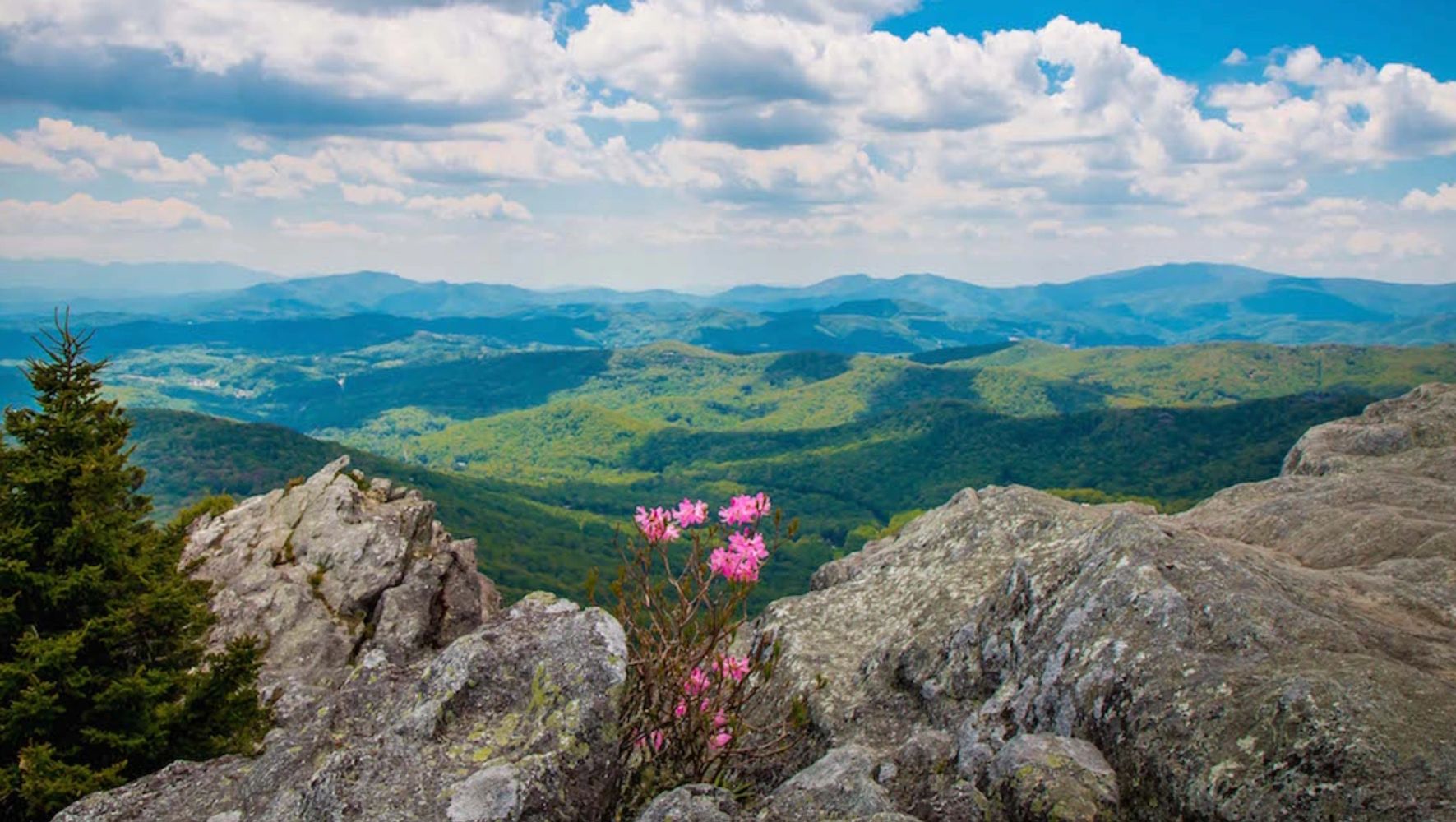Dinger Baseball Events