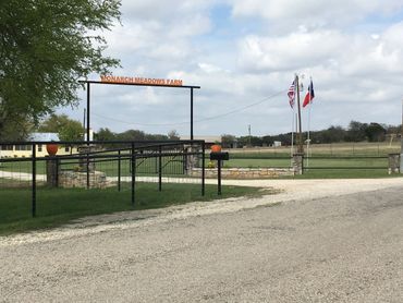 Weddings in Glen Rose - Monarch Meadows Farm