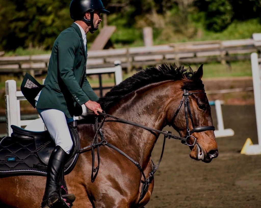 Parkhurst Stables & Equestrian - Home