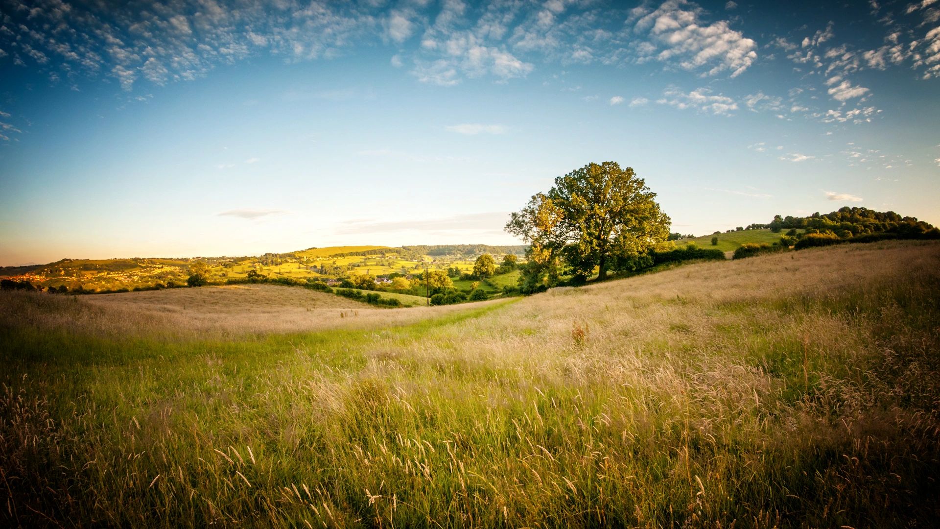 Planning | Netherhouse Farm Complex