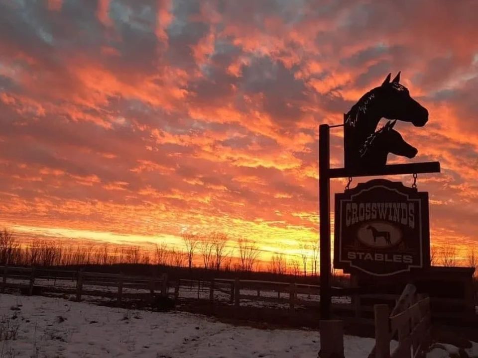 Horse Sales | Crosswinds Stables