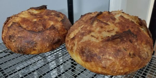 Bread Guy Breads - Home