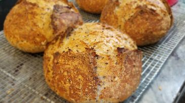 Bread Guy Breads - Home