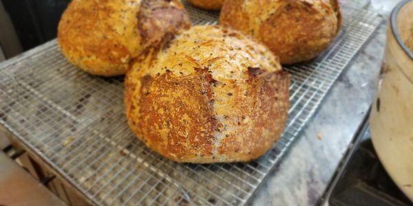 Bread Guy Breads - Home