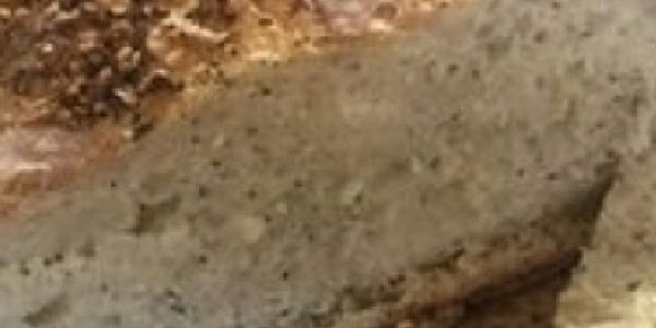 Bread Guy Breads - Home