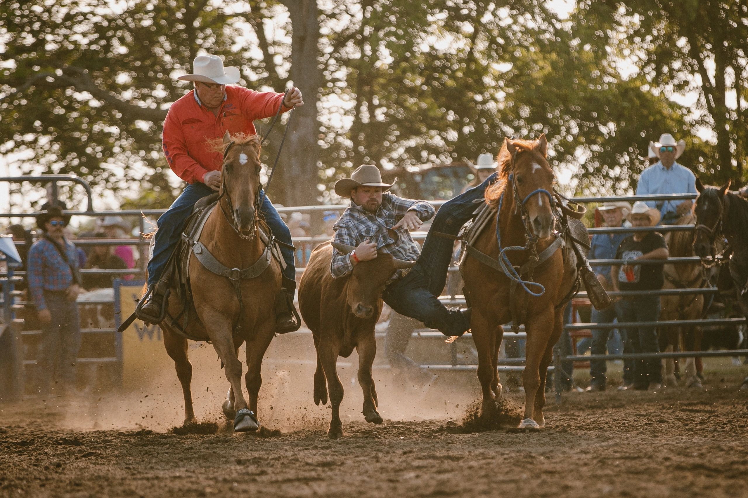Tickets | Kingsville Pro Rodeo