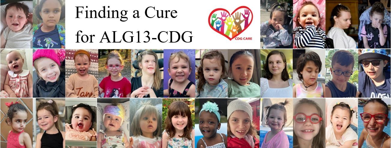 Understanding Congenital Disorders of Glycosylation