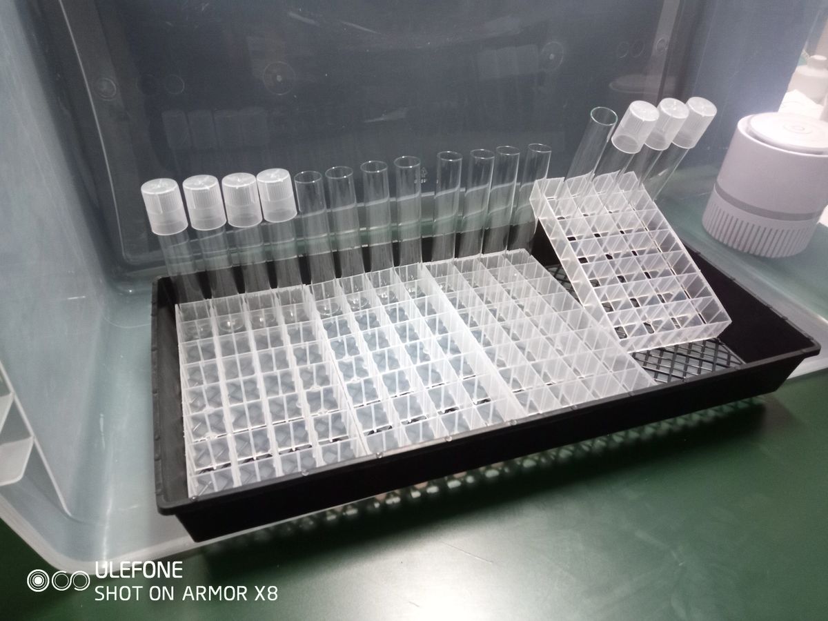 Culture Tubes & Tray x 128