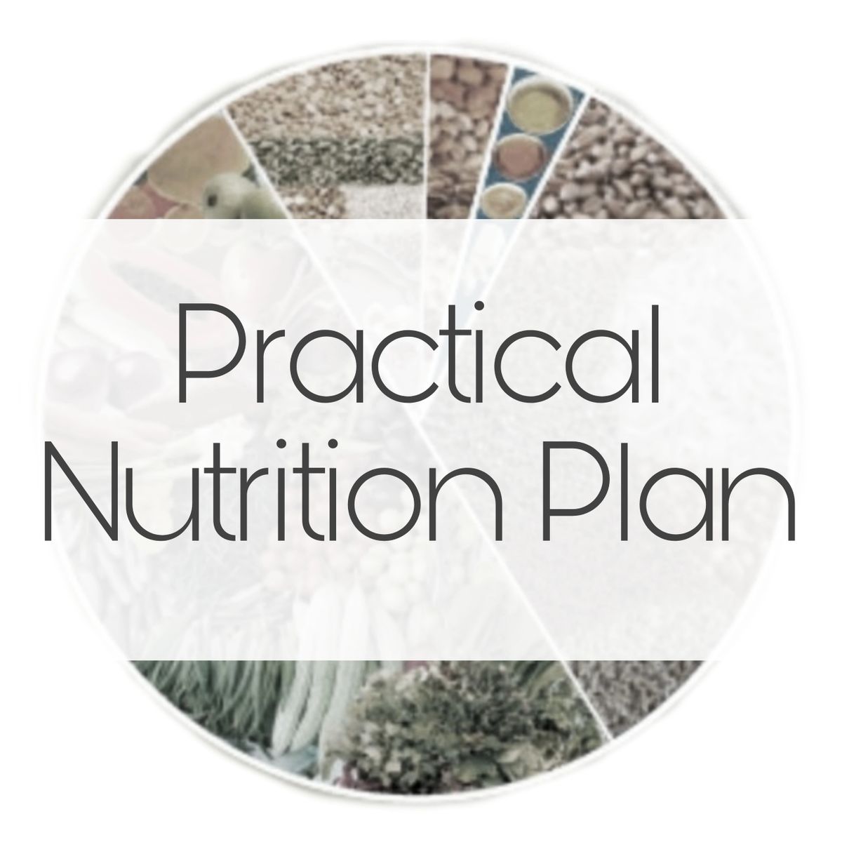 Practical Nutrition Plan