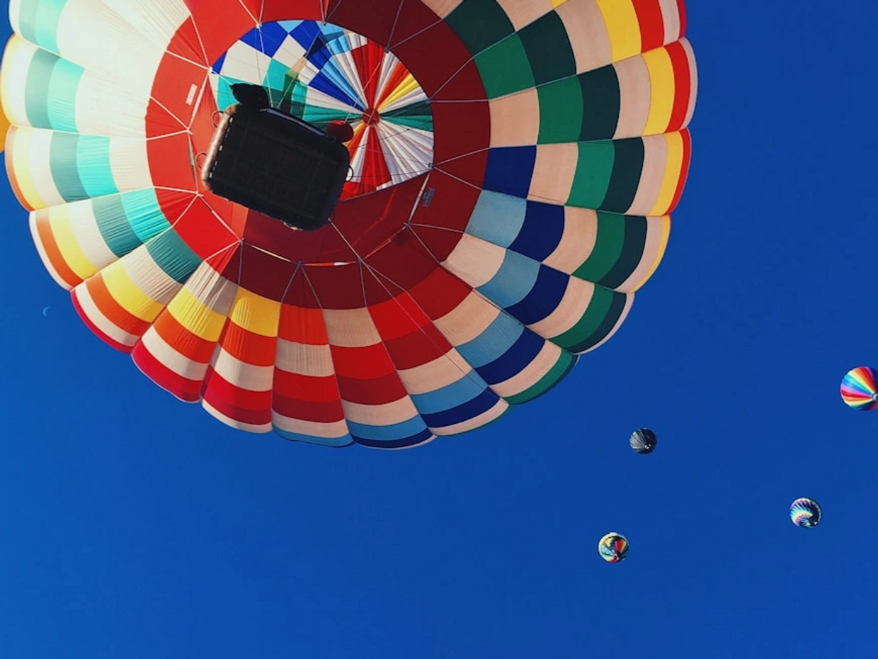 About Us | Strive One Consulting