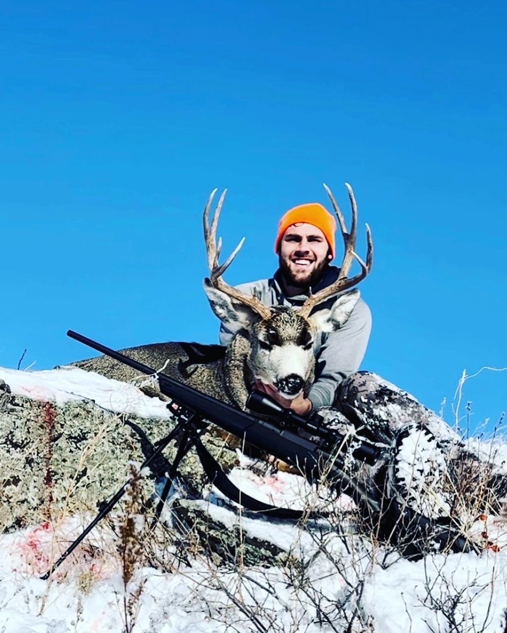 Mule Deer Mania