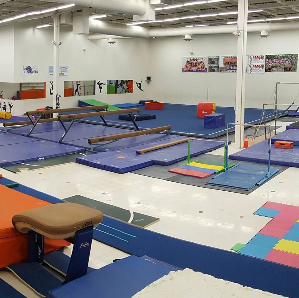 Farmington Gymnastics & Cheer - Gymnastics, Cheer