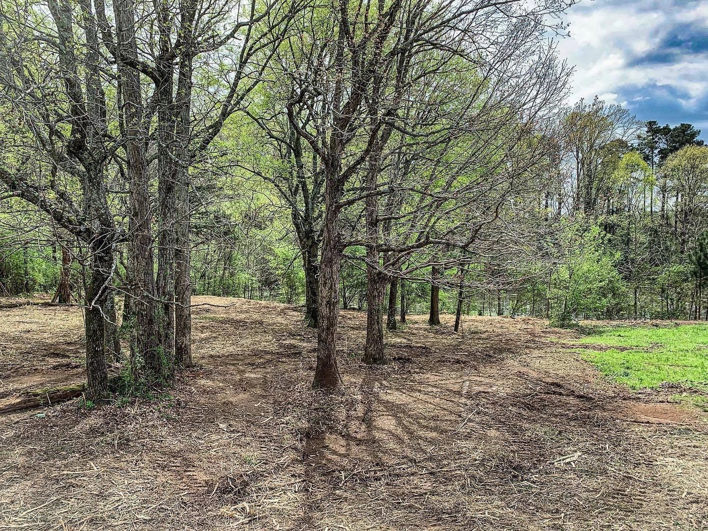 New View Land & Forest - Land Clearing, Forestry Mulching