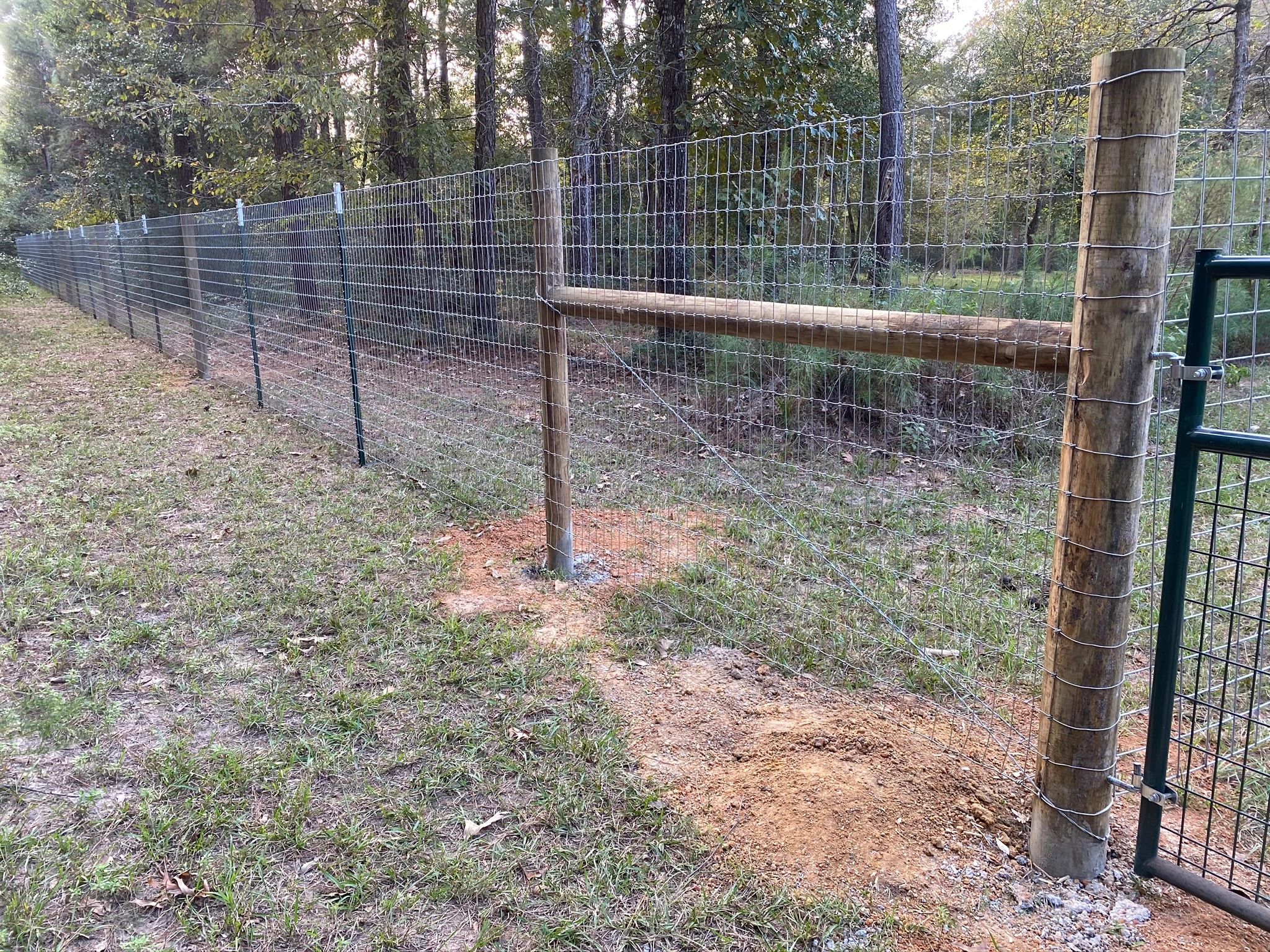 T Post Fencing Installed