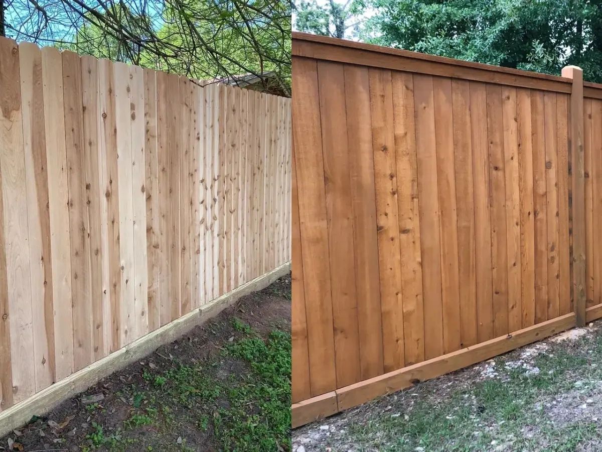 Japanese vs Western Cedar: Perfect Cedar Fence for Houston Homes