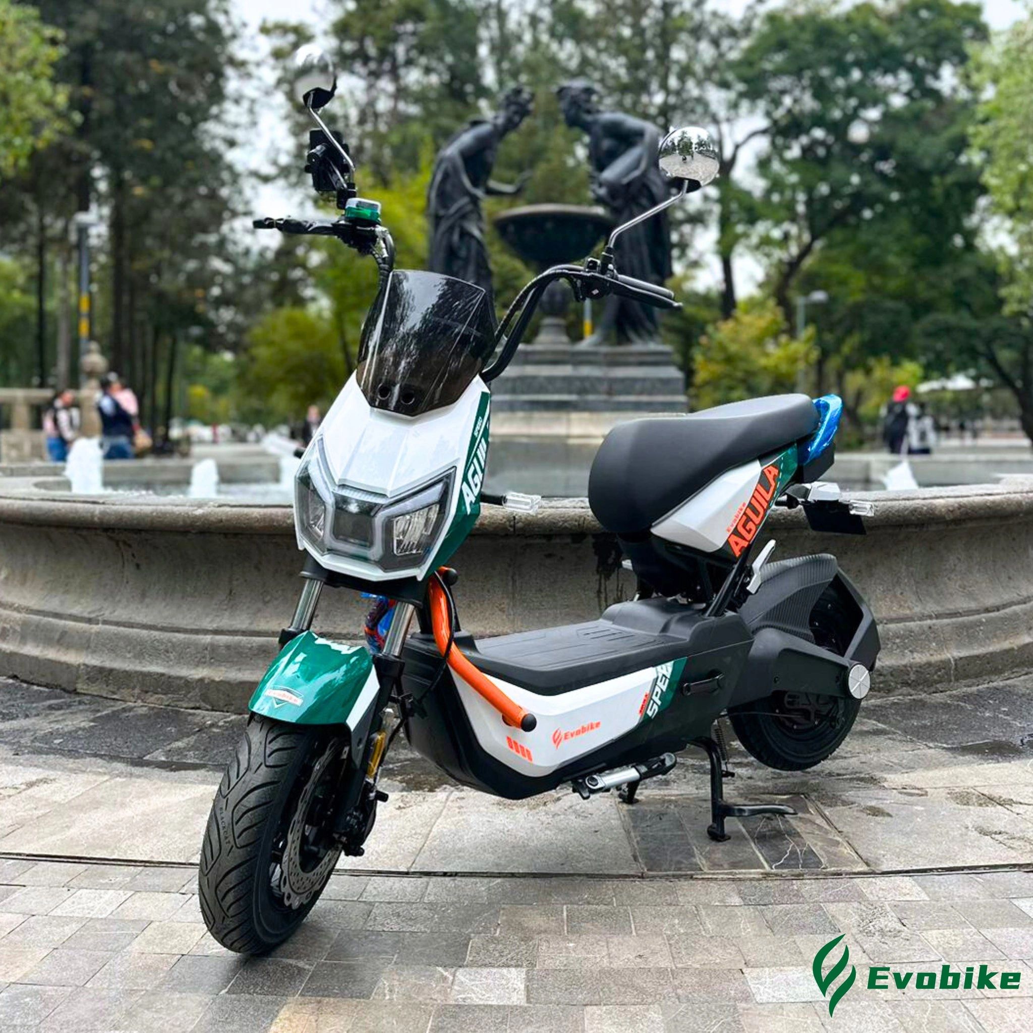 Bicicleta Eléctrica - EvoBike