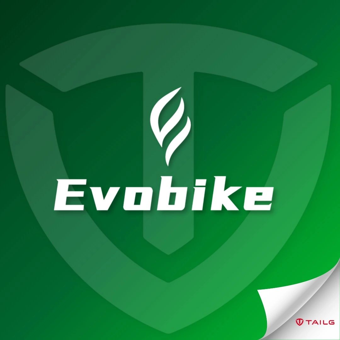 Ventajas de comprar una bicicleta eléctrica en una tienda física